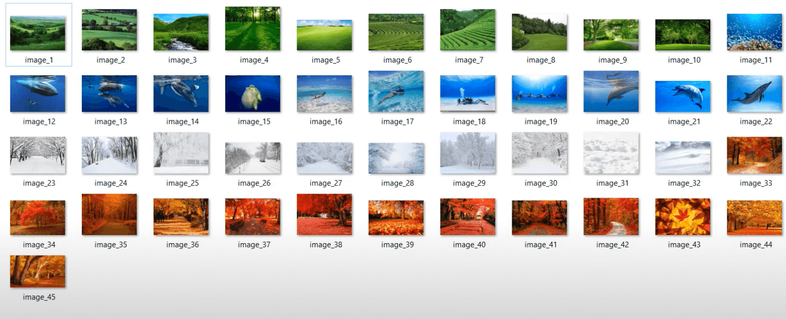 Image Classification Tutorial using K-Means in C# - DevInDeep