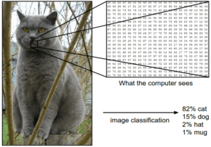 How to use ML.NET Model Builder for Image Classification - DevInDeep
