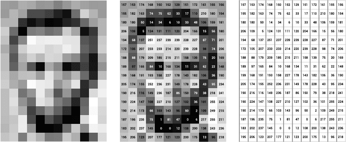 How to use ML.NET Model Builder for Image Classification - DevInDeep